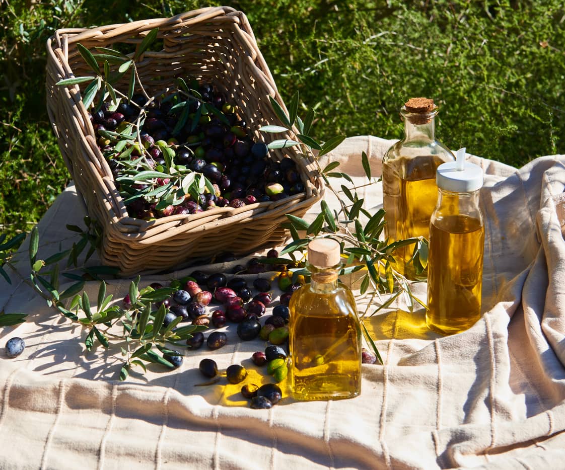 Cata del Aceite todas las Fases - Florencio Aguilera